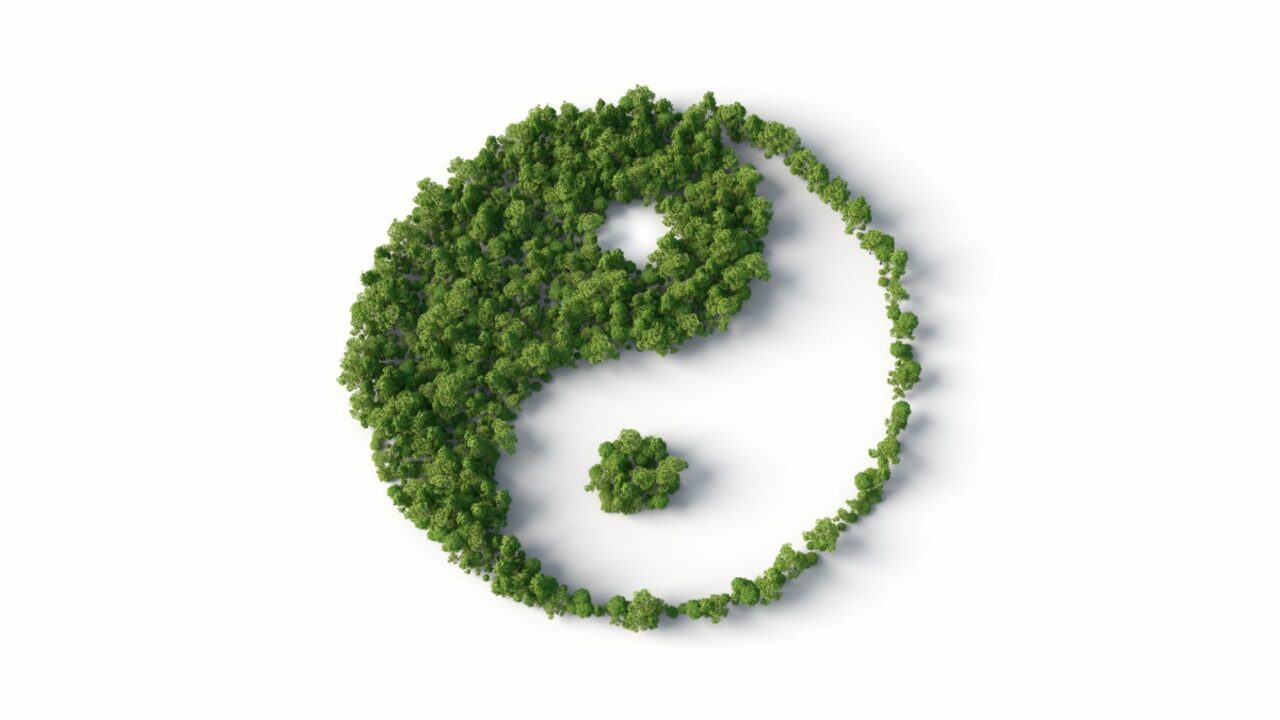 How Traditional Chinese Medicine Can Help Improve Sleep Quality