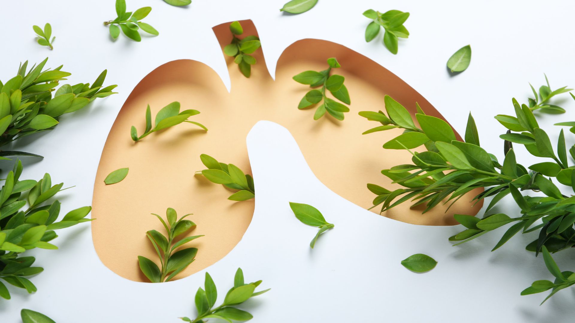 Treating Lung Deficiency with Traditional Chinese Medicine